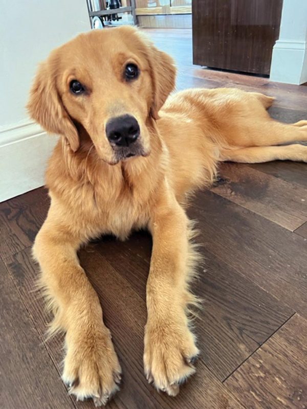 At Home with Randi Kaye - Jupiter Magazine