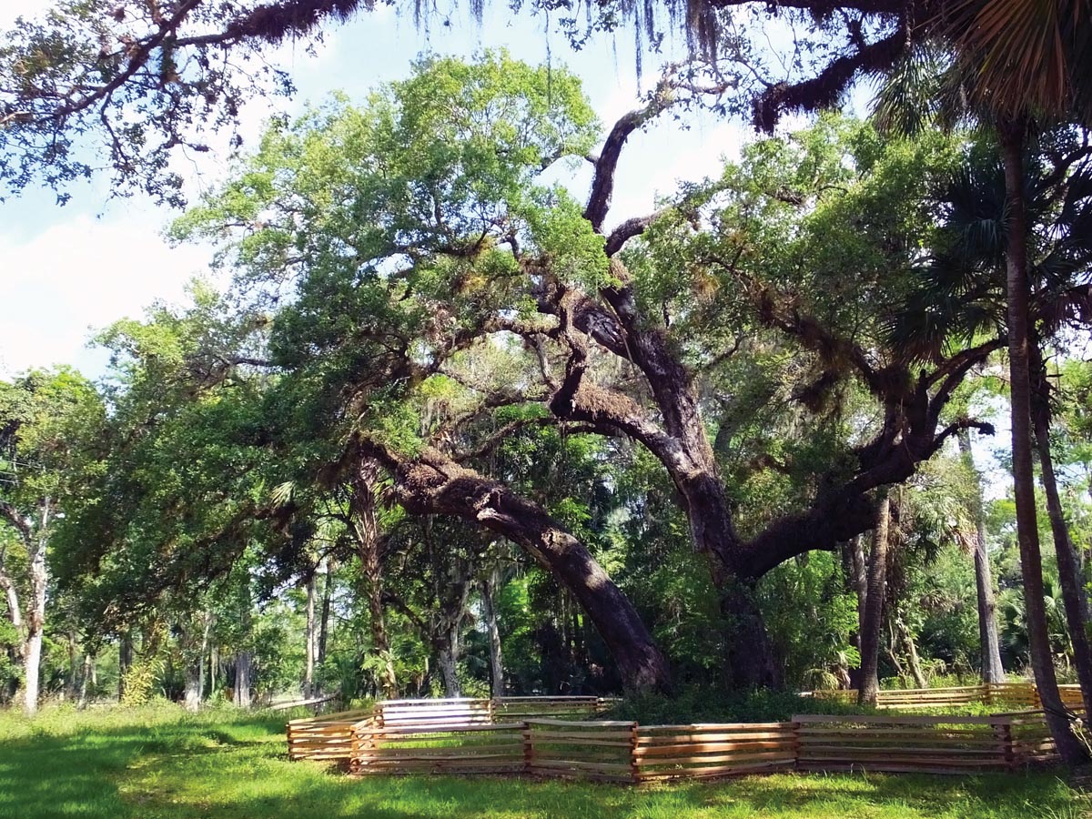 Witness History at Loxahatchee Battlefield Park - Jupiter Magazine